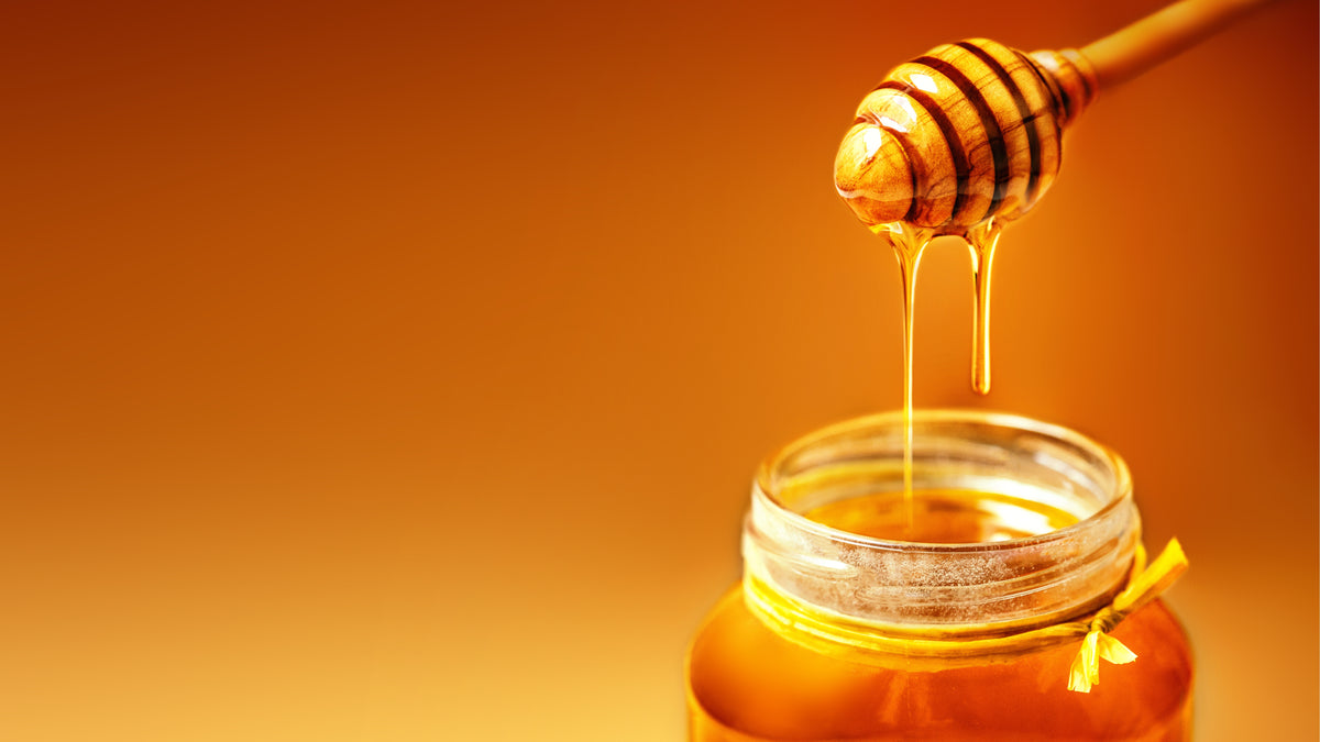 The Buzz – Southern Gold Honey